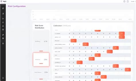 Data Risk Scoring Bigid