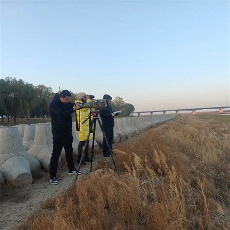 吴忠市组织开展水鸟同步监测工作
