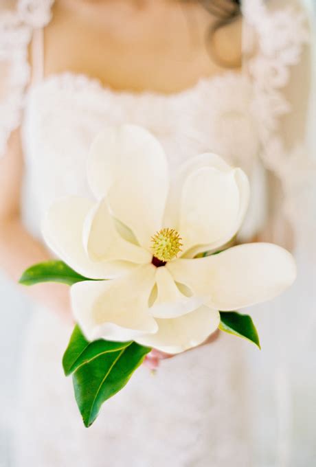 Магнолия-букет невесты - The-wedding.ru