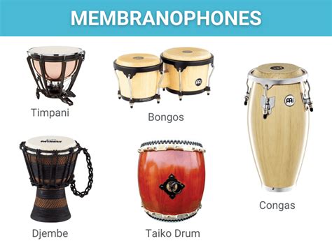 Percussion Musical Instruments Percussion Musical Instruments