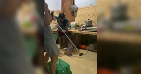 A Caça Ao Rato Dando Errado