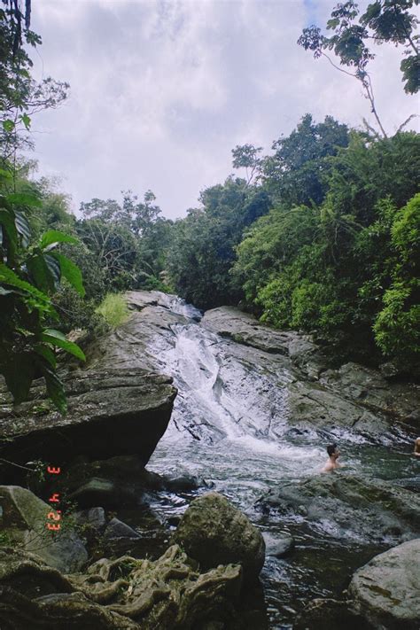 Visit El Yunque National Forest Artofit