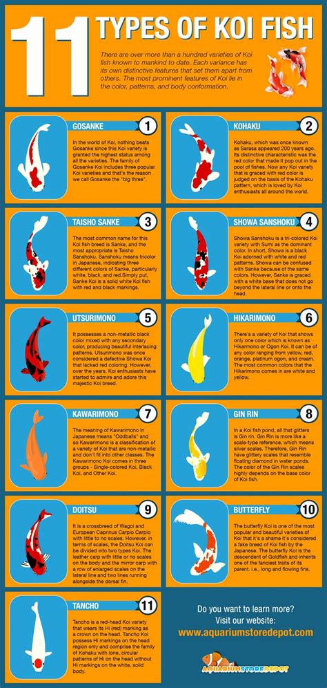 Pond Fish Types