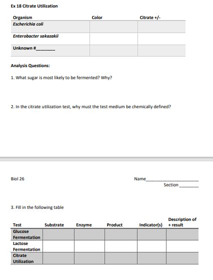 Solved Ex 18 ﻿citrate Utilizationanalysis Questions What