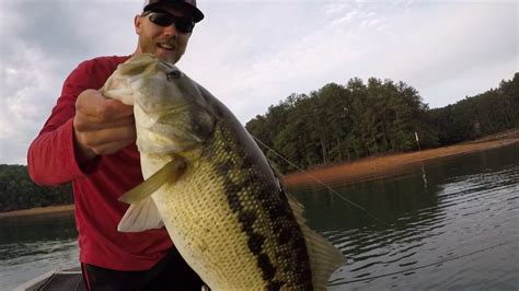Topwater Bass Lake Lanier Youtube