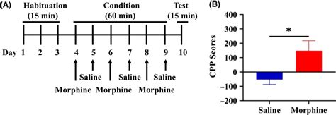 Experiment Schedule For The Cpp Paradigm A Schedule Of Cpp Paradigm