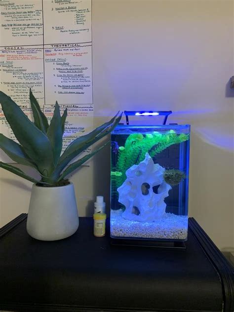 MARINELAND Portrait Blade Light Aquarium Kit 5 Gal Chewy