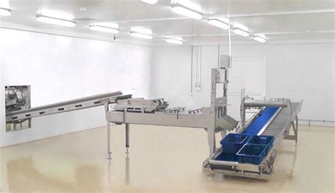 Chick Transport Box Innovatec Hatchery Automation