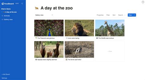 Add A Gallery View To All Projects As A 5th Option Feature Discussion Vikunja Community