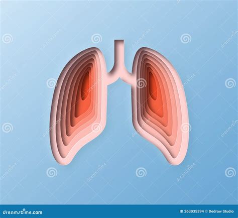 Illustrazione Realistica Dei Polmoni Umani Tagliati In Carta 3d