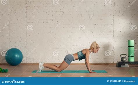 Healthcare And Wellness Advertisement Concept Athletic Woman Fitness