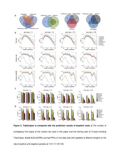 Triphlapan Predicting Hla Molecules Binding Peptides Based On Triple