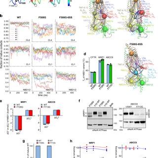 Global Stabilization Of 6SS CFTR By Dynamic Inter Domain Allosteric