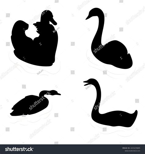 Swans Floating Silhouettes Design Goose Geese Stock Vector Royalty Free 2215235845 Shutterstock