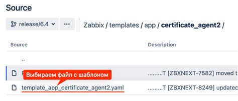 Мониторинг Ssl сертификатов в Zabbix · Devops Productivity Career