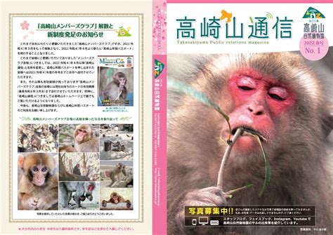 Now on salu 高崎山話題のサルたち 高崎山自然動物園