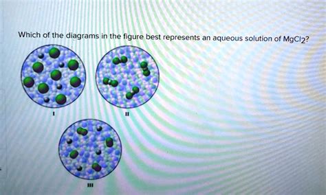 Which Of The Diagrams In The Figure Best Represents An Aqueous Solution