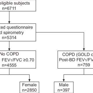 Flow Chart Showing Study Participants By Sex And Chronic Obstructive Download Scientific