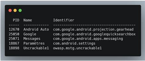 Frida The Tool Dedicated To Mobile Application Security