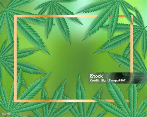 Vetores De Folha De Maconha Cannabis Erva Com Moldura Ouro Fundo Vetor