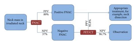Proposed Algorithm For Investigation Of Neck Mass In Irradiated Neck