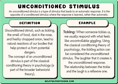 11 Unconditioned Stimulus Examples 2024