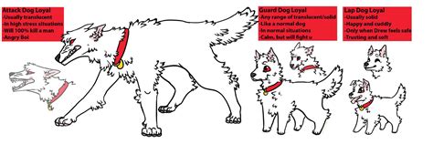 Loyal Size Chart SCP Foundation Amino