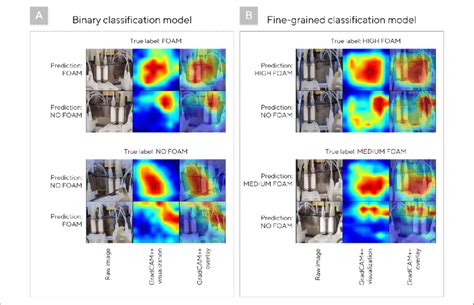 Exemplary Gradcam Visualizations Of The Developed Classification