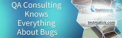 qa consulting knows everything about the bugs testmatick