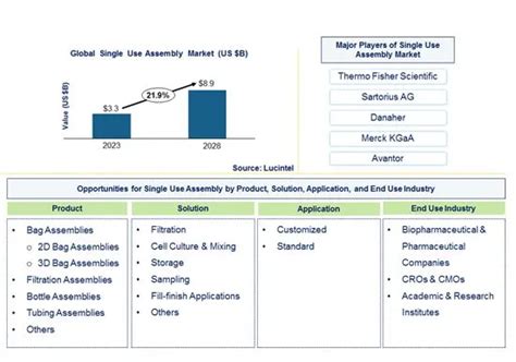 Single Use Assembly Market Trends Opportunities And Competitive