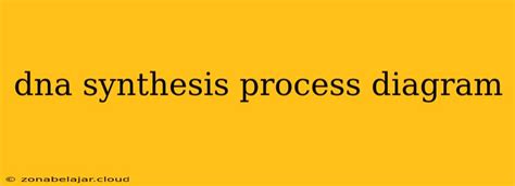 Dna Synthesis Process Diagram