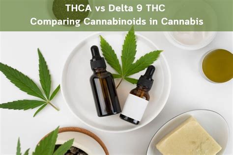 Thca Vs Delta 9 Understanding The Differences Florida Cannabis Forums