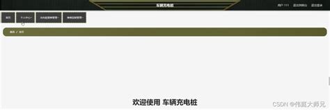 车辆充电桩 基于springboot＋vue的车辆充电桩管理系统的设计与实现 源码 数据库 文档 阿里云开发者社区