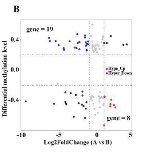 全基因组甲基化测序（wgbs）上海百沐生物科技有限公司