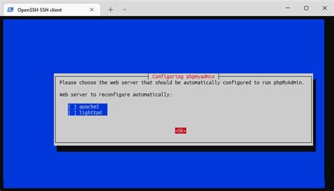 Install LEMP Stack With Redis PhpMyAdmin On Ubuntu 22 04