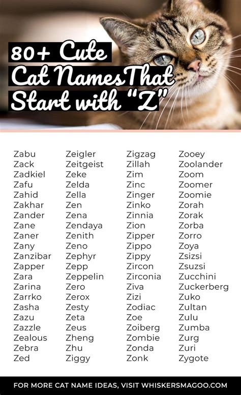 80 Cat Names That Start With Z Whiskers Magoo Cat Names Cute Cat Names Kitten Names