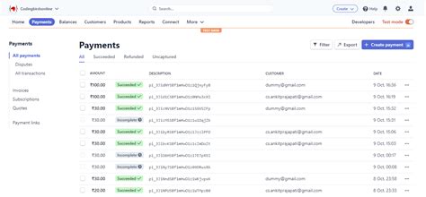 Payment Gateway Coding Birds Online