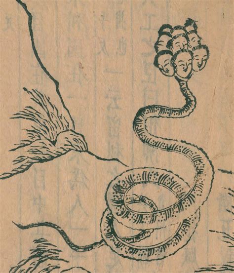 相柳そうりゅう 神魔精妖名辞典