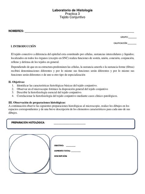 Laboratorio De Histología Tejido Conjuntivo Pdf Tejido Conectivo
