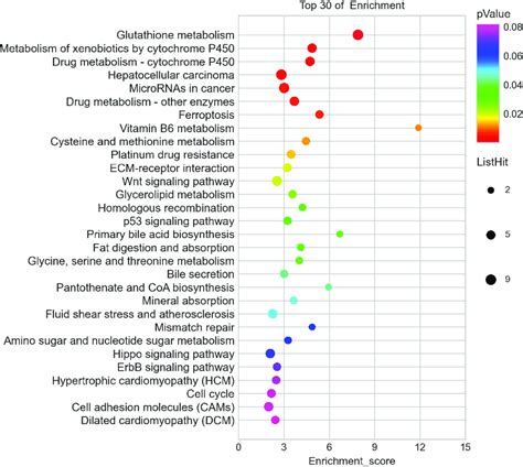 Pathway Analysis For Differentially Expressed Mrnas The Top 30 Most