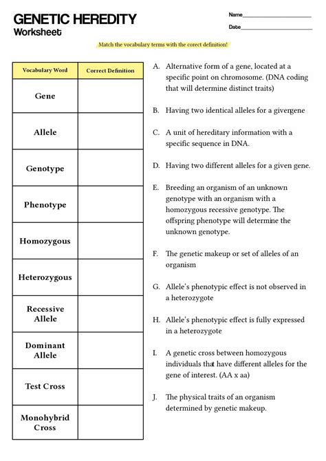 14 Dna Code Worksheet Artofit 14 Dna Code Worksheet Artofit
