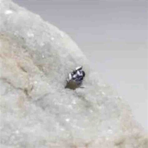 Rare Naturally Occurring Tungsten Disulfide Ws₂ Supplier