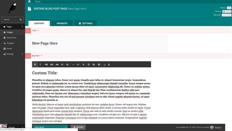 Setting Up A Richtext Content Area