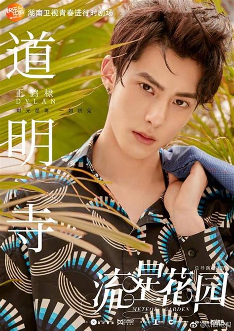 Teen ดาเมจความหล่อรุนแรง ดีแลน หวัง Dylan Wang หรือ