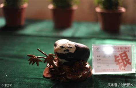 男子撿到「熊貓奇石」，有人出價1萬他沒賣，只為等到有緣人 每日頭條