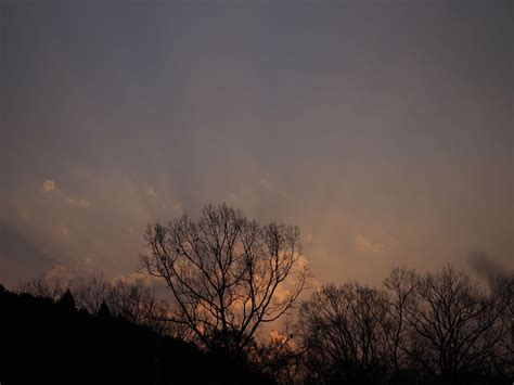 夕景 GANREF