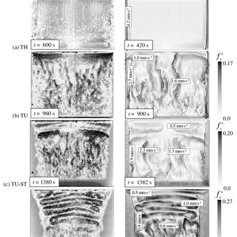 Solidification Sequence And Flow Patterns In Different Stages
