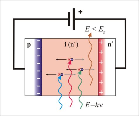 Pin Diode Radiation Detector Physicsopenlab