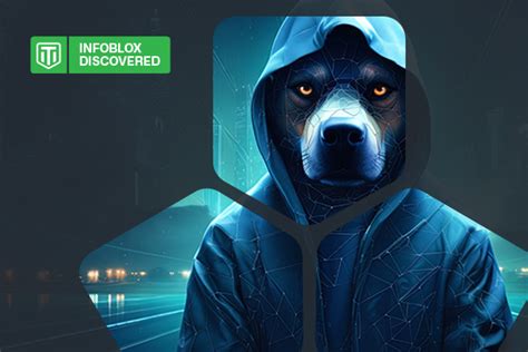 Analyzing Dns Traffic For Anomalous Domains And Threat Detection Infoblox