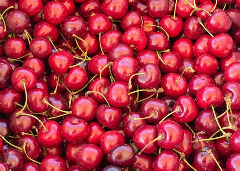 10 Types Of Cherry Trees Dive Into The World Of Sweet And Tart Varieties